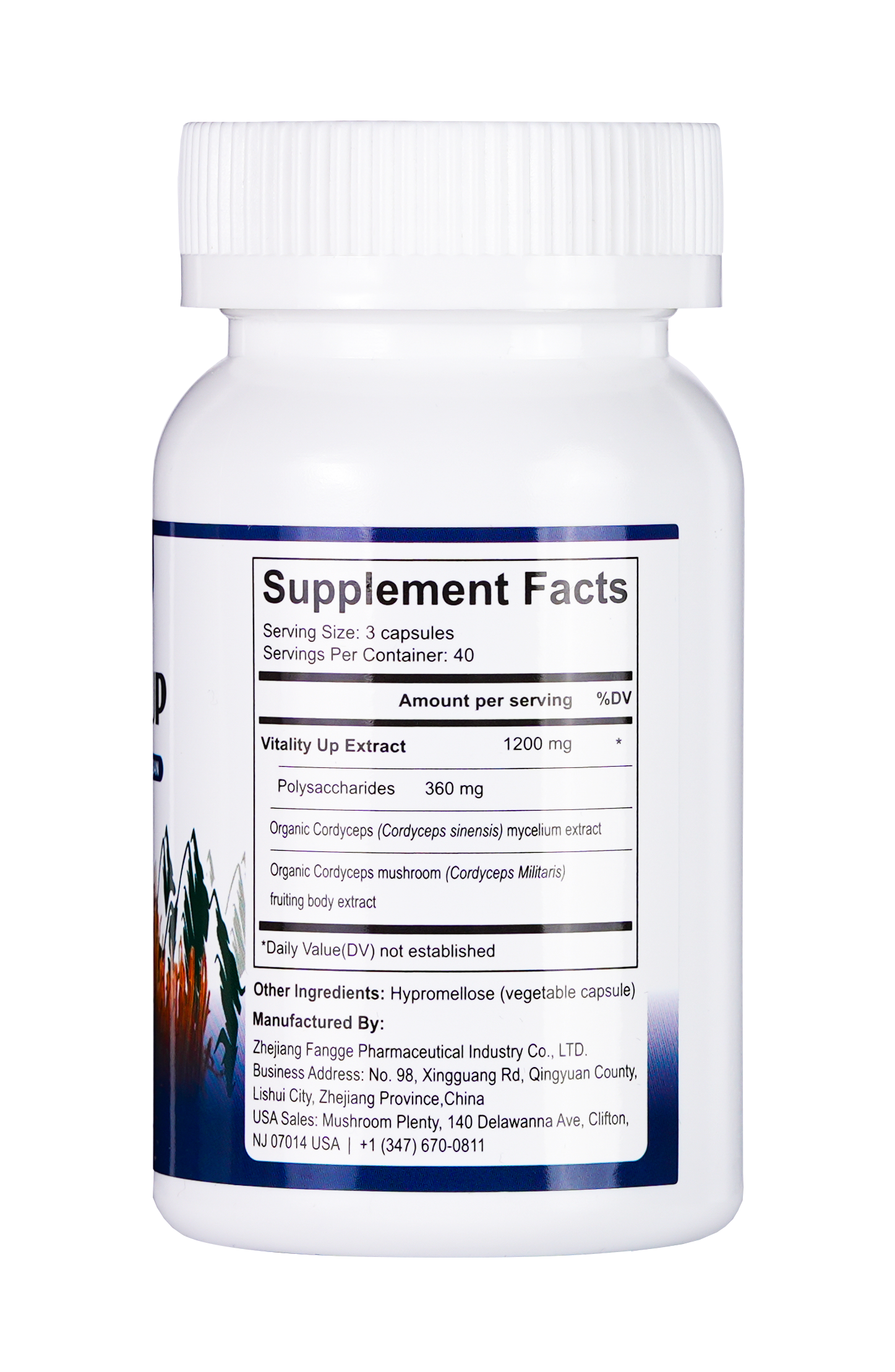 Vitality Up - Organic Mushroom Extract Capsule - Buy Organic Mushroom ...