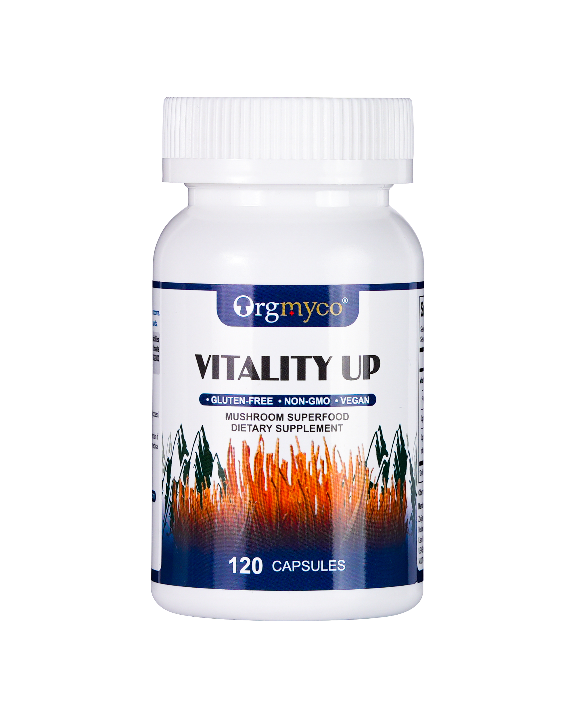 Vitality Up - Organic Mushroom Extract Capsule - Buy Organic Mushroom ...